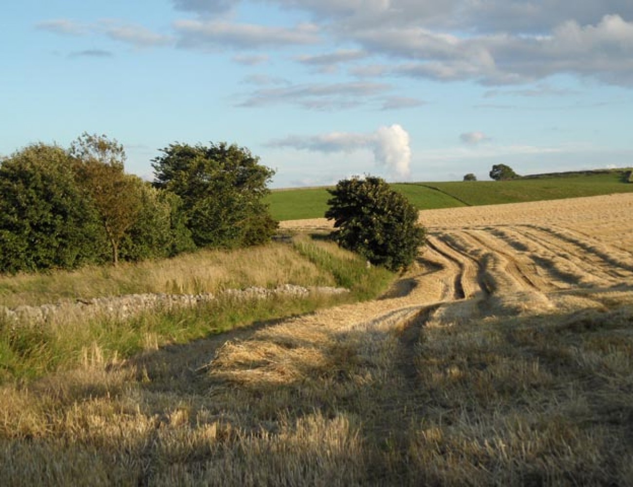 The Farriers At Croft Farm - Unique Holiday Cottages